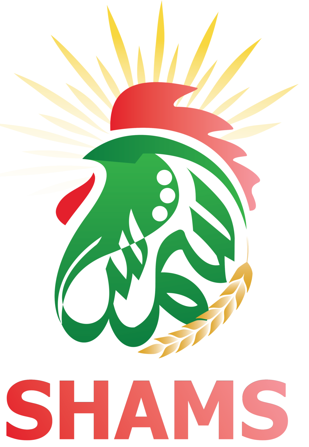 Shop - Shams Al-Rubaieen