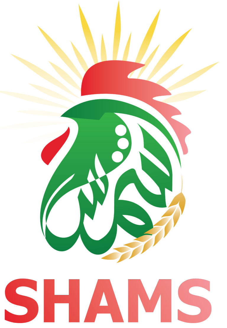 Shop - Shams Al-Rubaieen